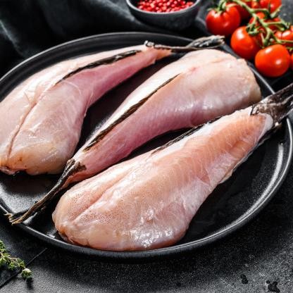 Żabnica ogon 1,5 kg Kapitan Konrad - świeża ryba prosto z morza